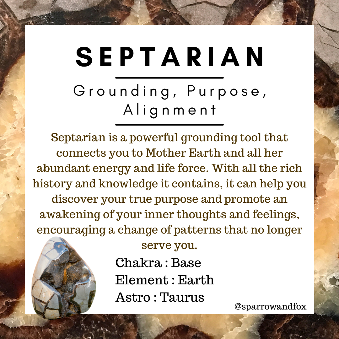 Septarian – Sparrow and Fox