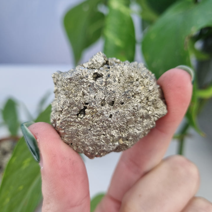 Pyrite – Sparrow and Fox