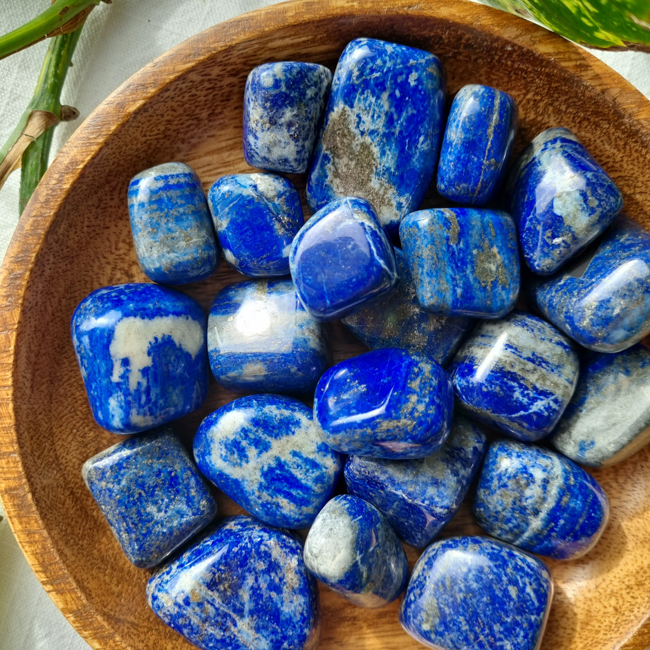 Lapis Lazuli – Sparrow and Fox