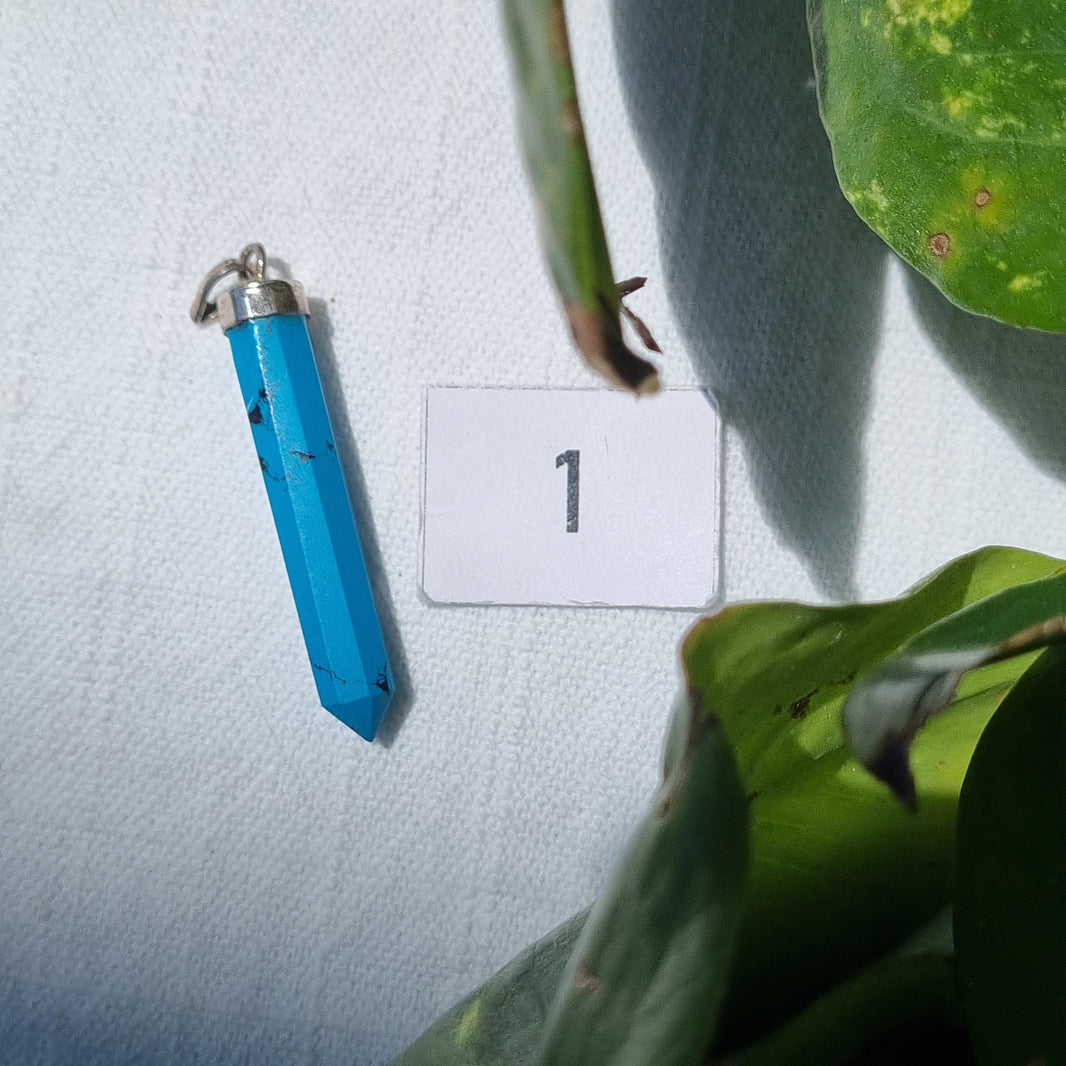 Blue Howlite – Sparrow and Fox