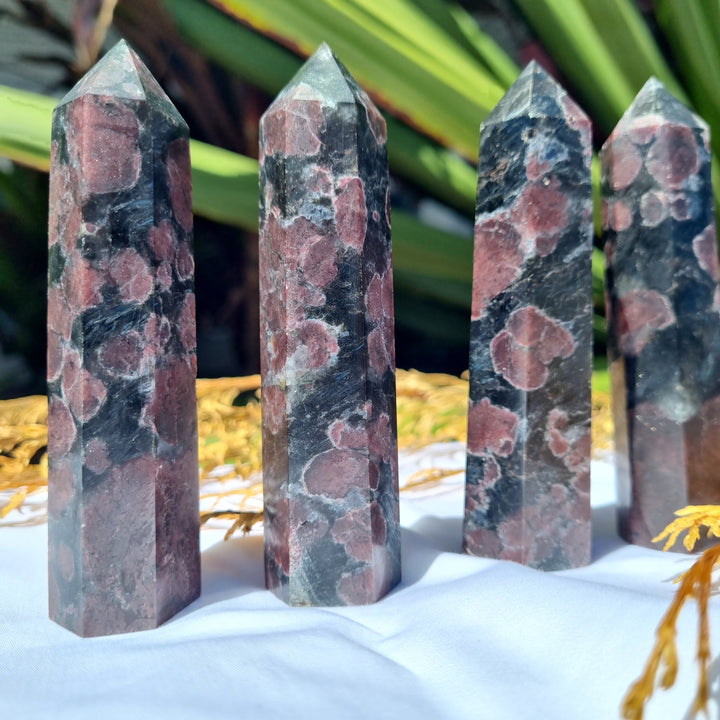 Garnet – Sparrow and Fox