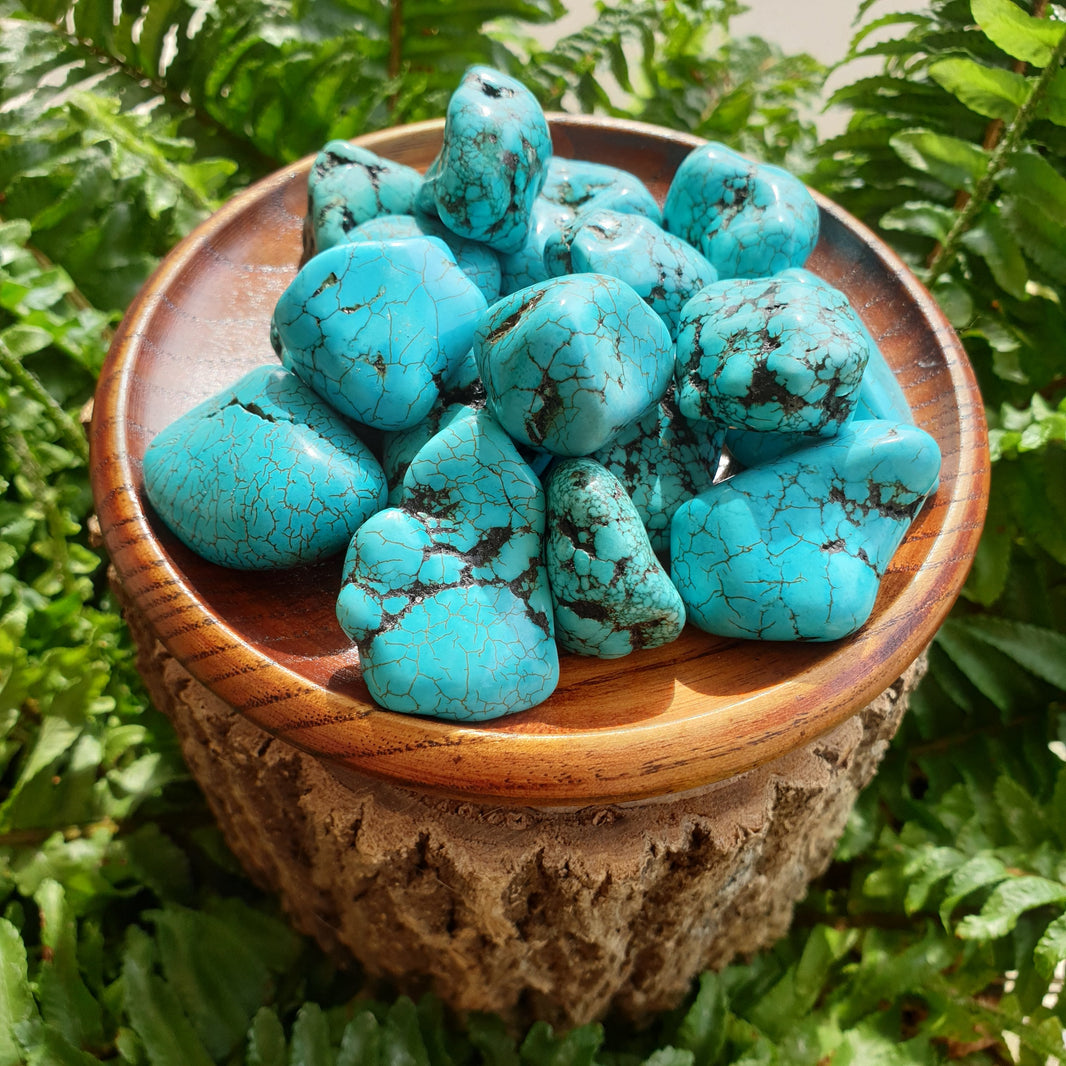 Blue Howlite – Sparrow and Fox