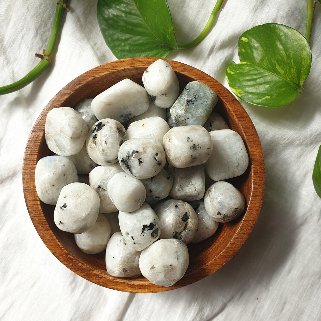 Moonstone – Sparrow and Fox