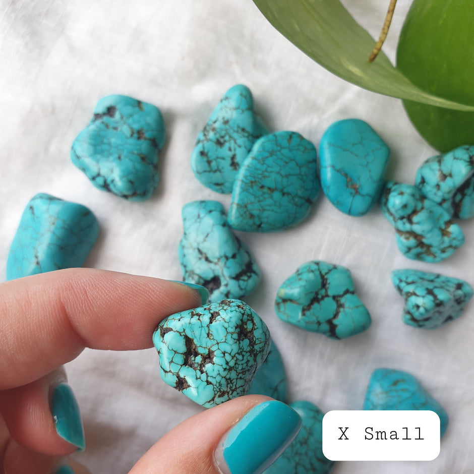 Blue Howlite – Sparrow and Fox