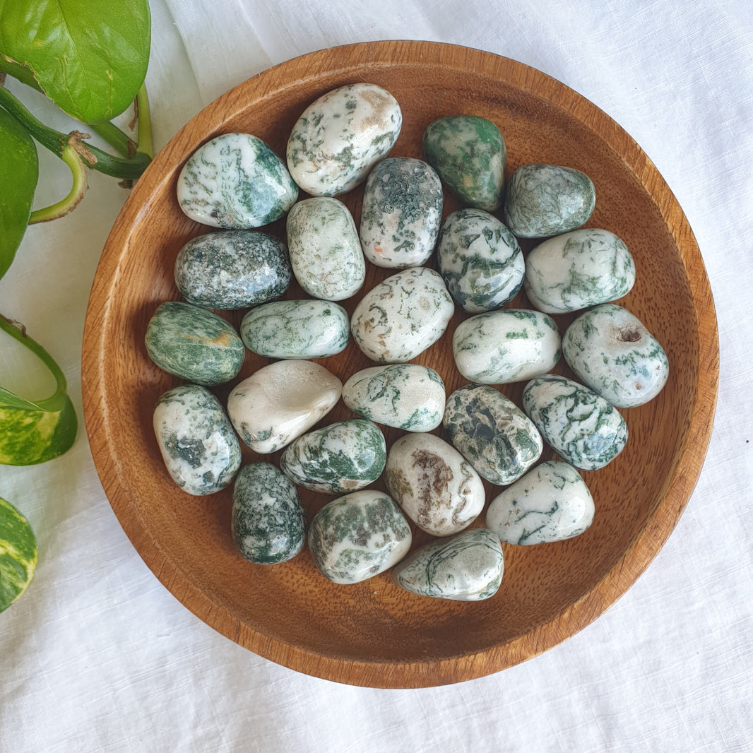 Tree Agate – Sparrow and Fox