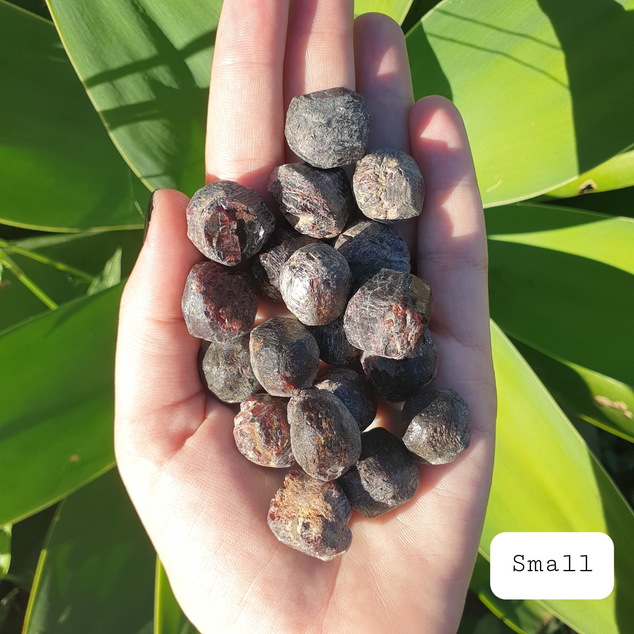 Garnet – Sparrow and Fox