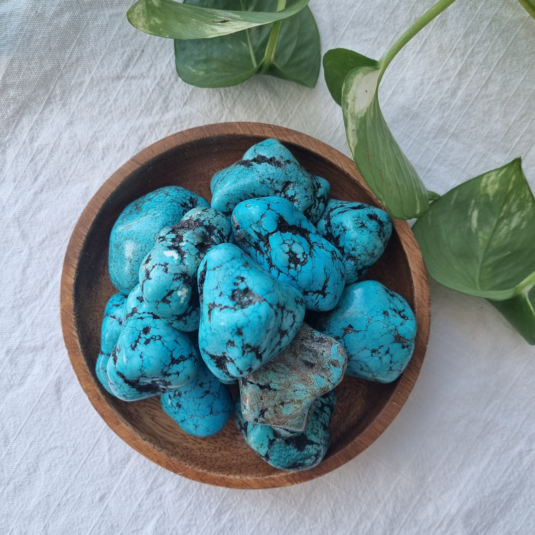 Blue Howlite – Sparrow and Fox