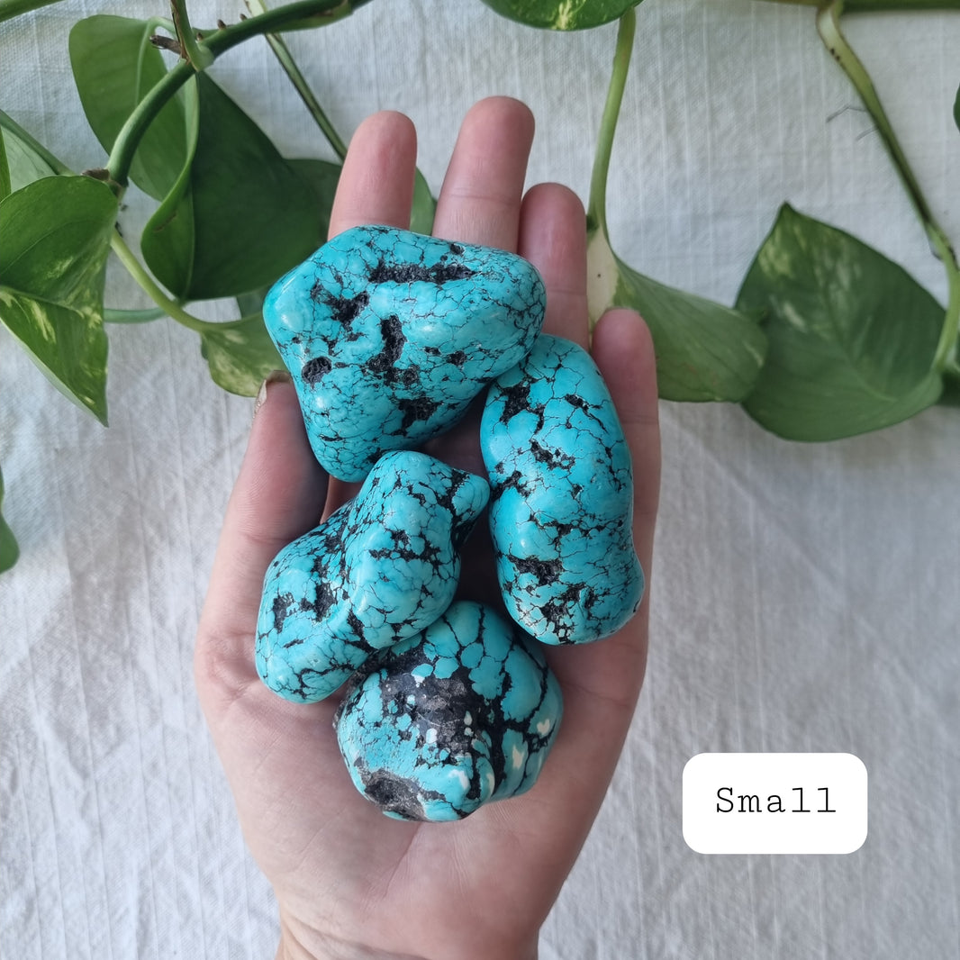 Blue Howlite – Sparrow and Fox