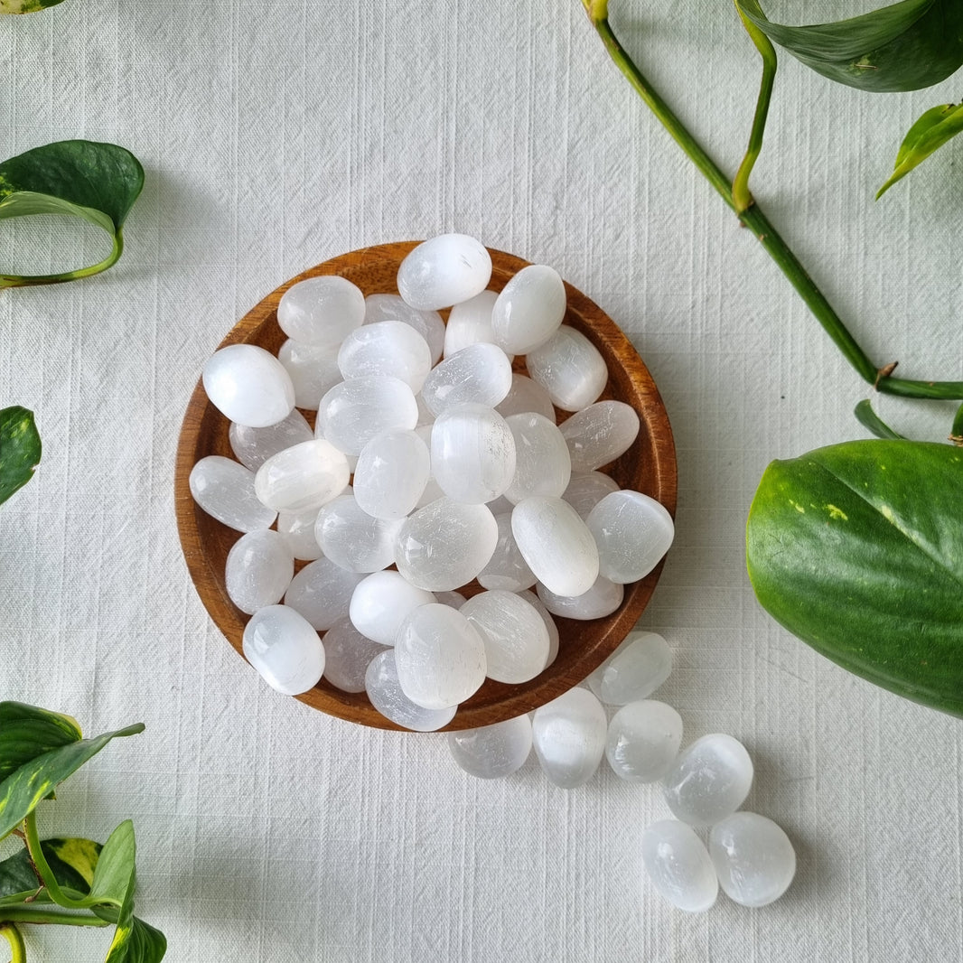 Selenite – Sparrow and Fox