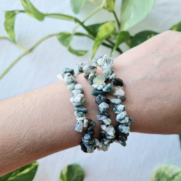 Tree Agate – Sparrow and Fox