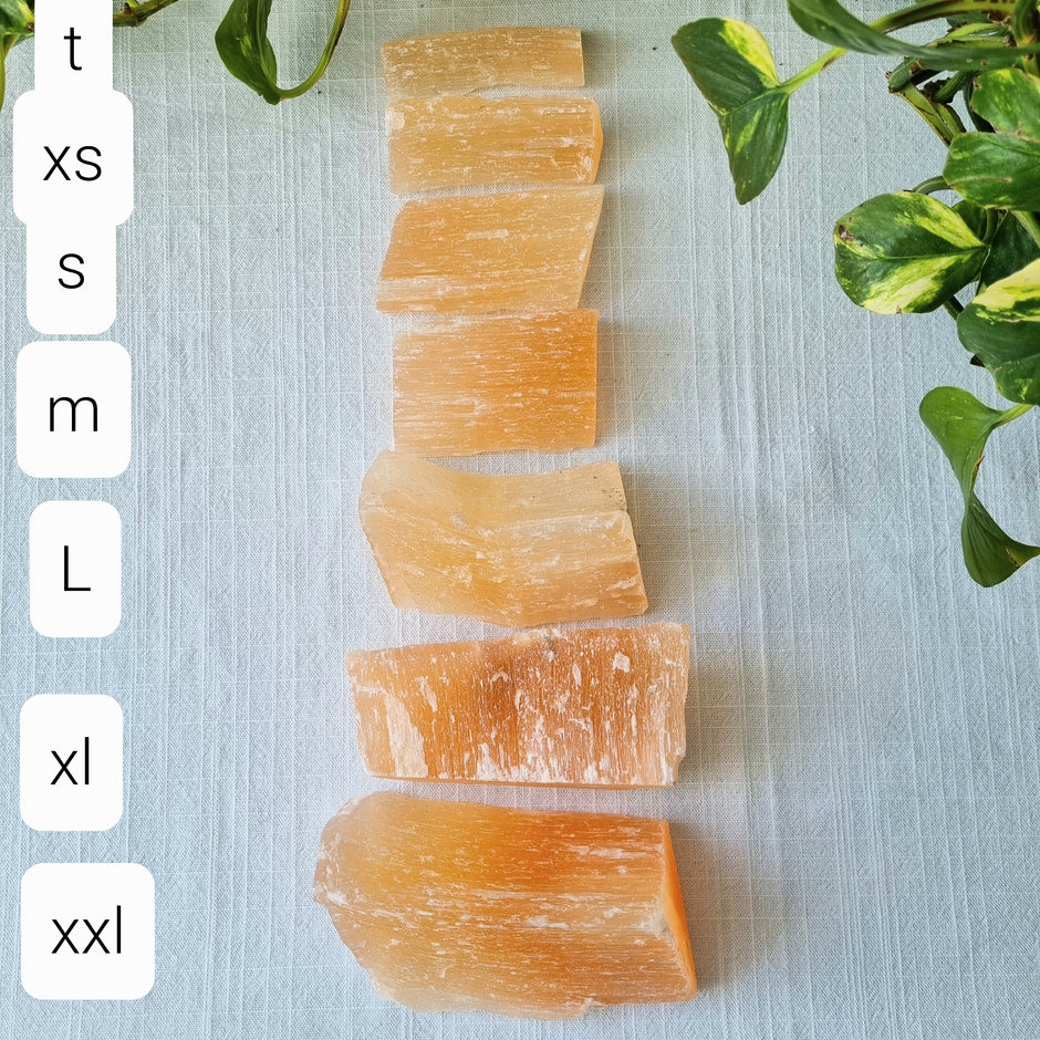 Selenite – Sparrow and Fox