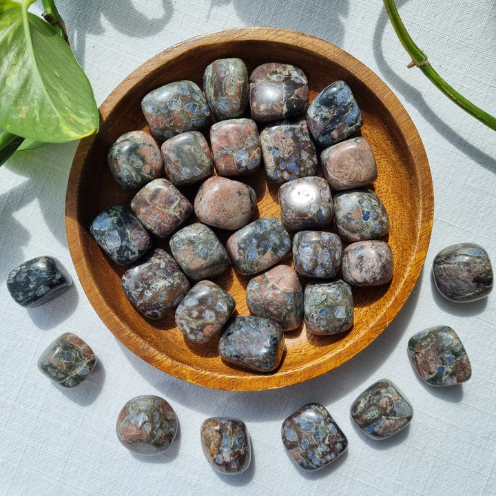 Que Sera – Sparrow and Fox