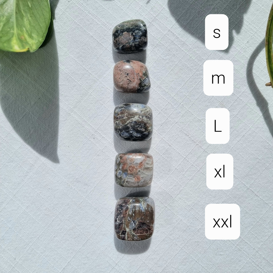 Que Sera – Sparrow and Fox