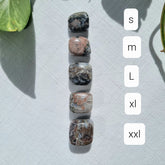 Que Sera – Sparrow and Fox